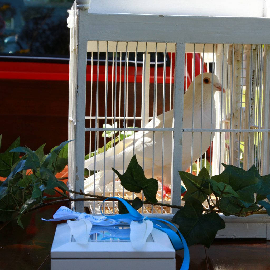 Dove Release - Heartfelt Funerals